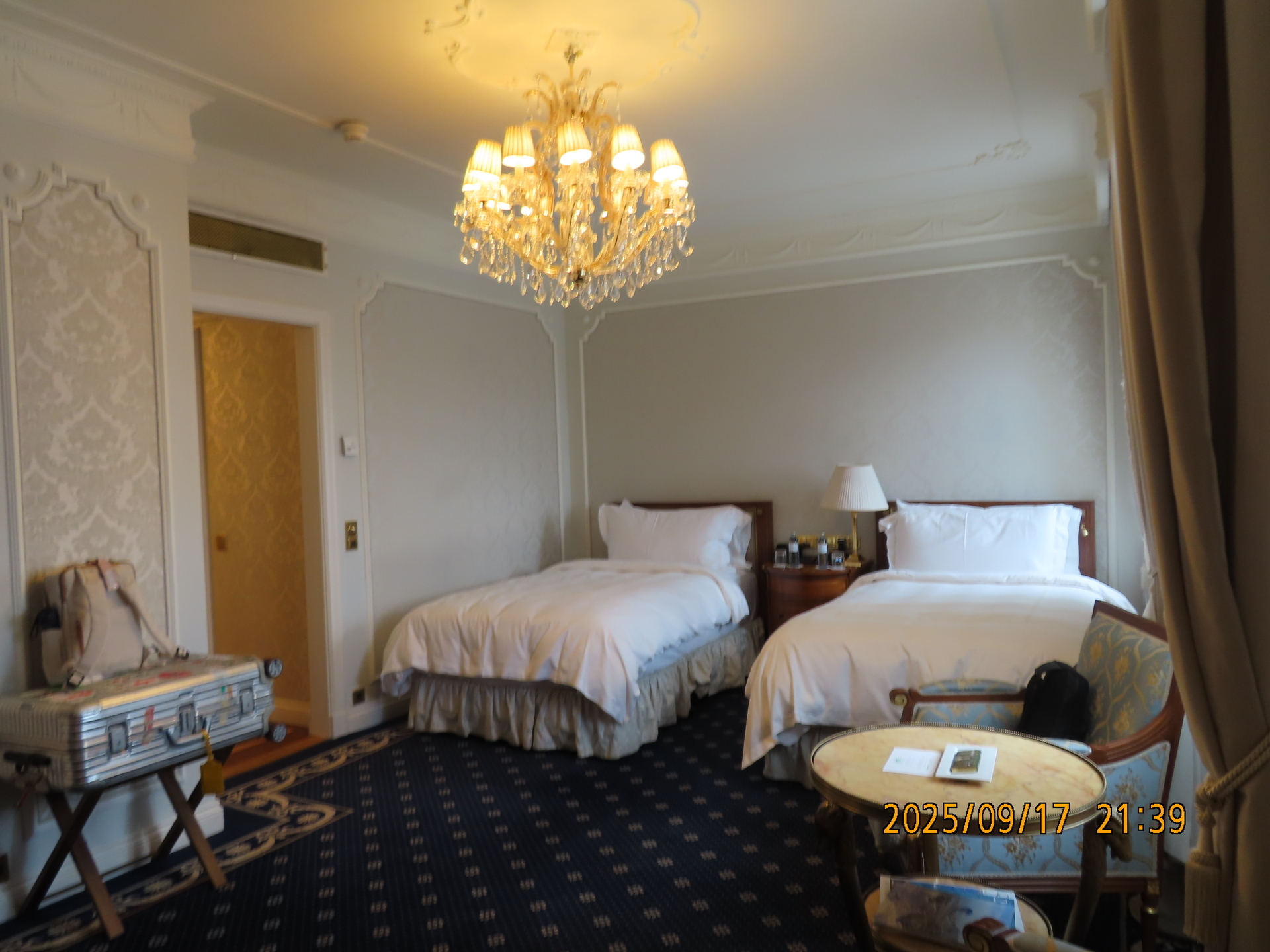 ウィーンウィーン: 千客万来